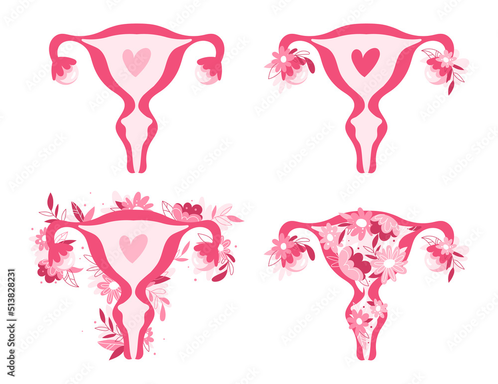 Vecteur Stock Female Reproductive System Set Hand Drawn Uterus Womb 0317