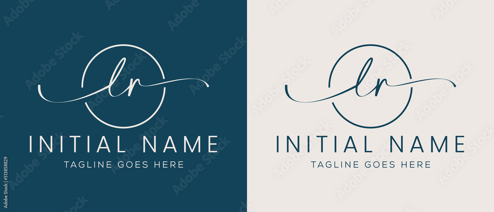 LR RL Initial handwriting signature logo template vector. Hand ...