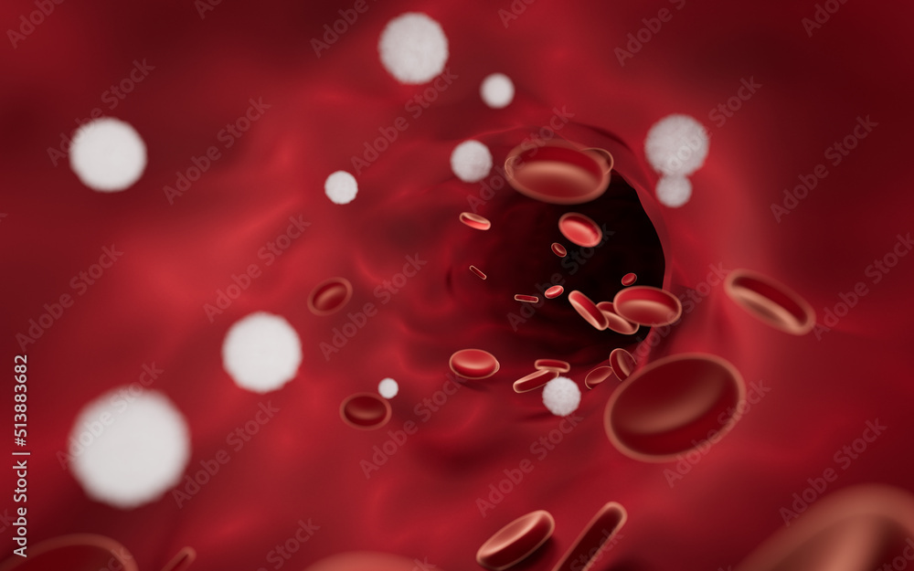 Red and white blood cells in blood vessels, 3d rendering. Stock ...