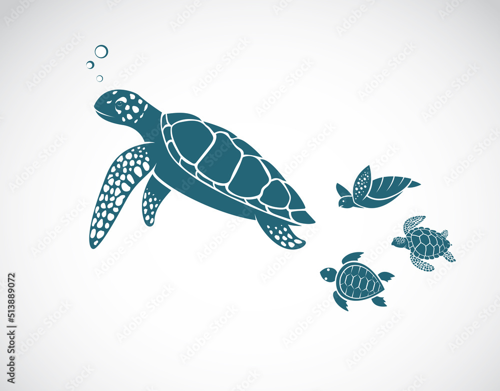 Vector of turtles family design on white background. Easy editable ...