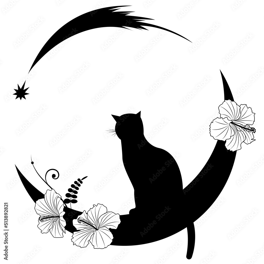 Vector illustration with moom, cat, flowers of hibiscus and comet in ...