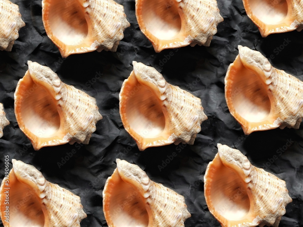 Pattern of sea shells on a black background from craft crumpled paper ...