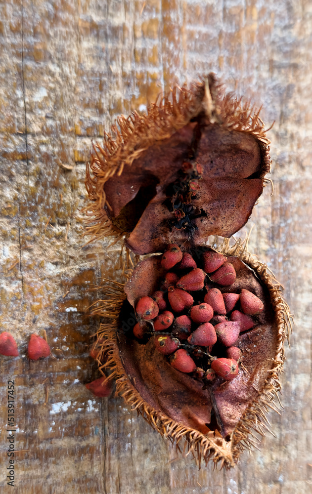 Brazilian Urucum Annatto Seeds on rustic background. Centered Open ...