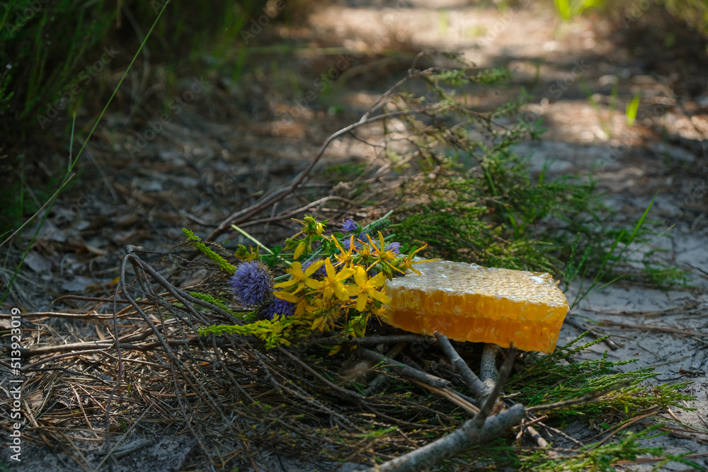 Honeycombs are full of honey on the forest path. Wildflowers. Forest ...