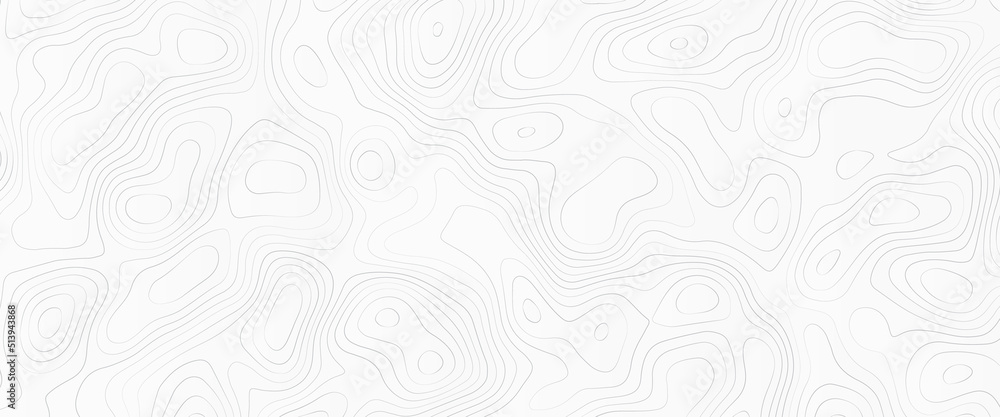 Topography relief. abstract background, Light topographic topo contour ...