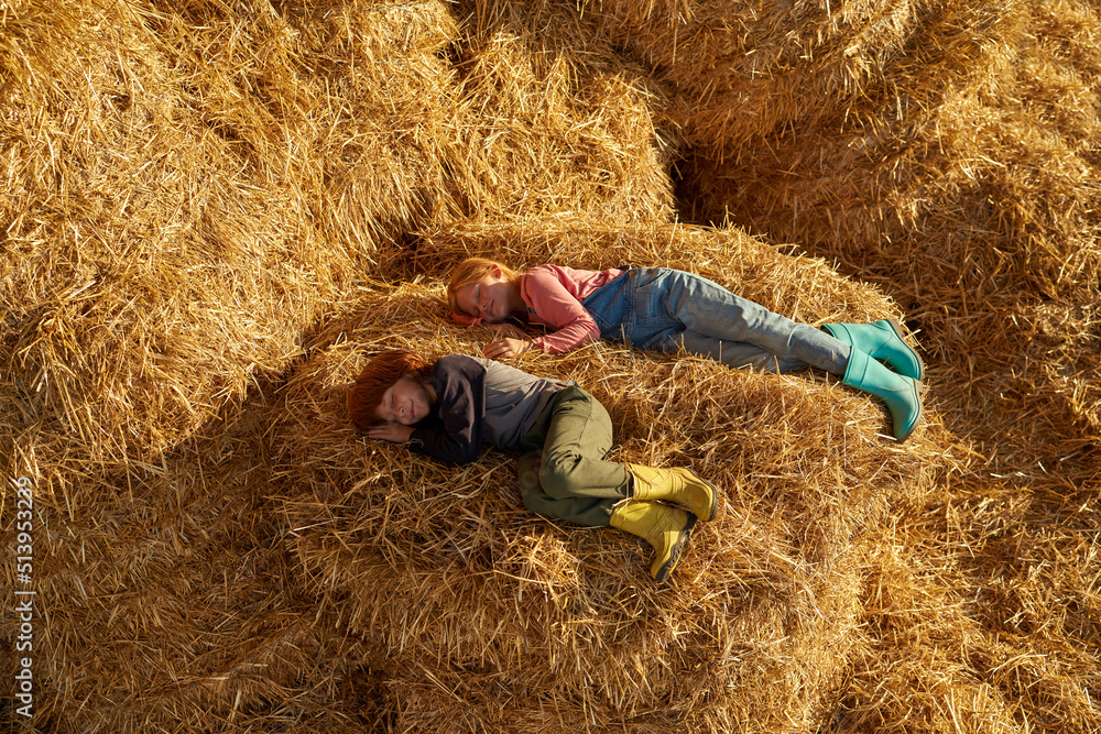 Caucasian little boy and girl sleeping on hay bale Stock Photo | Adobe ...