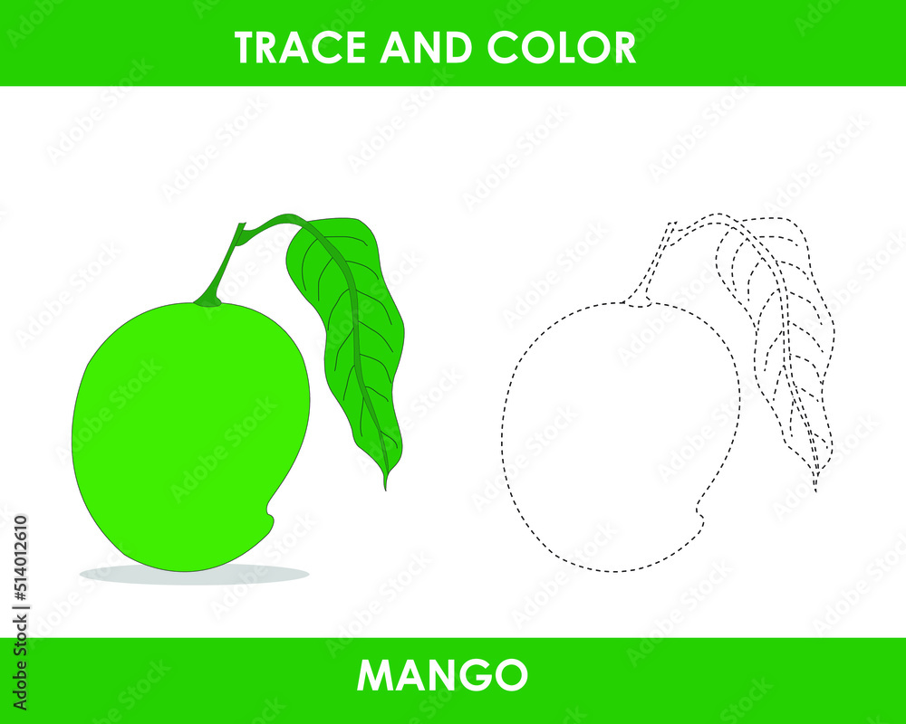 Hand drew mango outline illustration trace and color Stock Vector ...