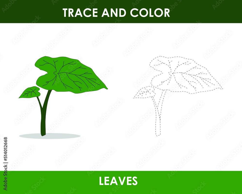 Hand drew leaves outline illustration trace and color Stock Vector ...