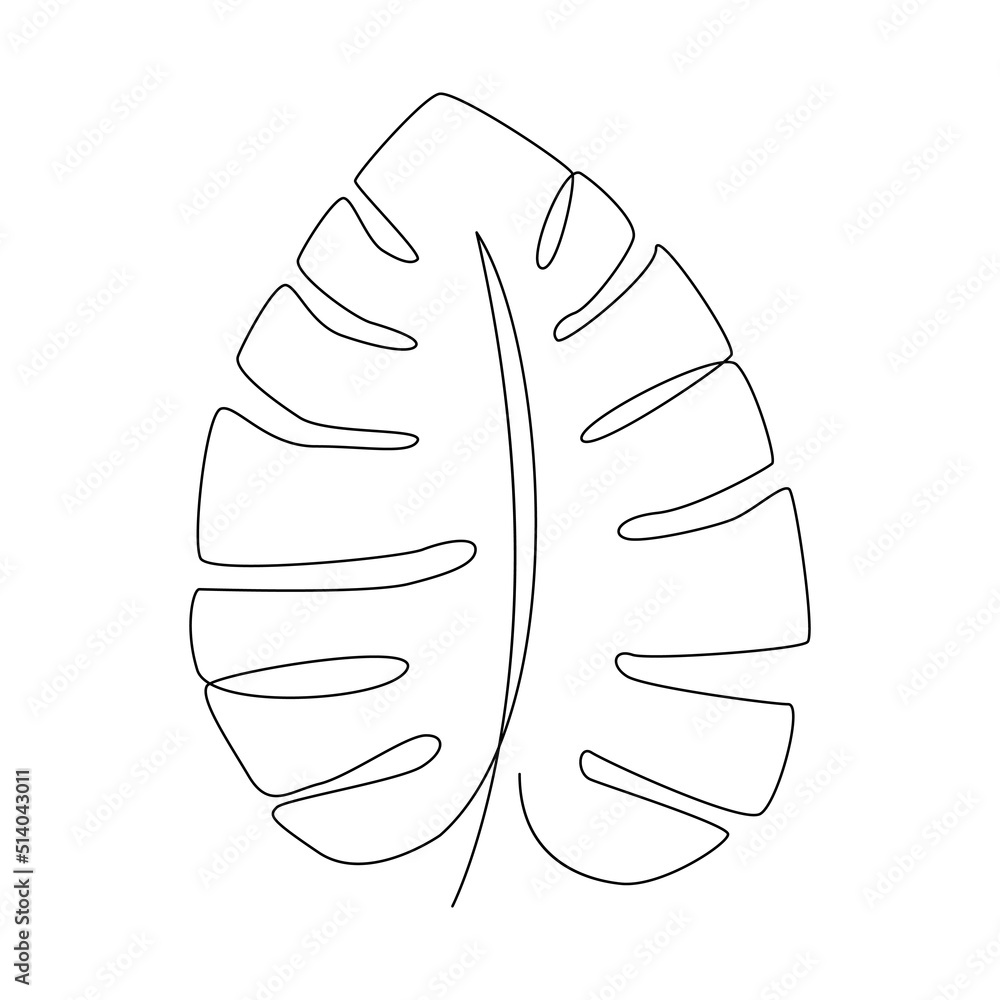 One line drawing of tropical palm leaves. art. Vector illustration ...