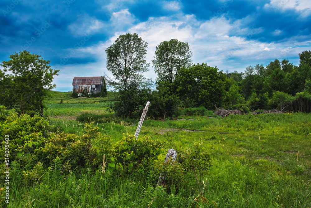 Stunning photos of forest and a lake scenic nature landscapes from ...