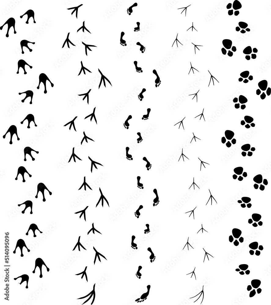 Vector black set bundle of different animals foot print path tracks ...