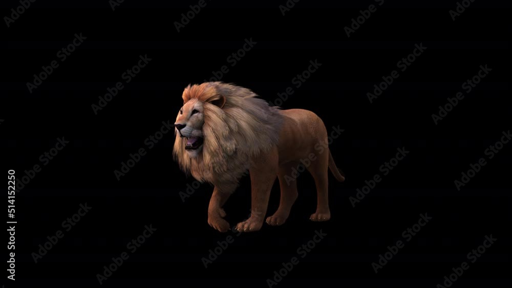 Lion Walk Front View, Animation. 1920×1080 Pixel. 04 seconds long ...