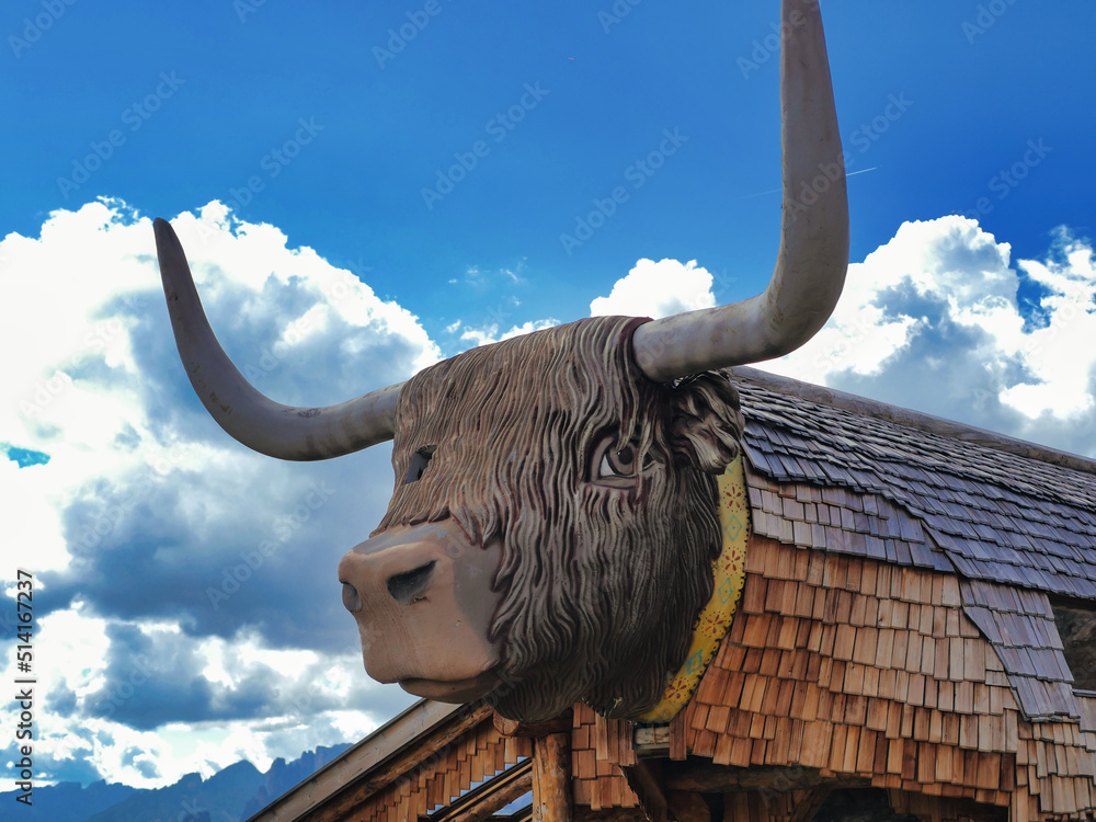 Fotka „Huge yak head near the Friedrich August Refuge. The highlander ...
