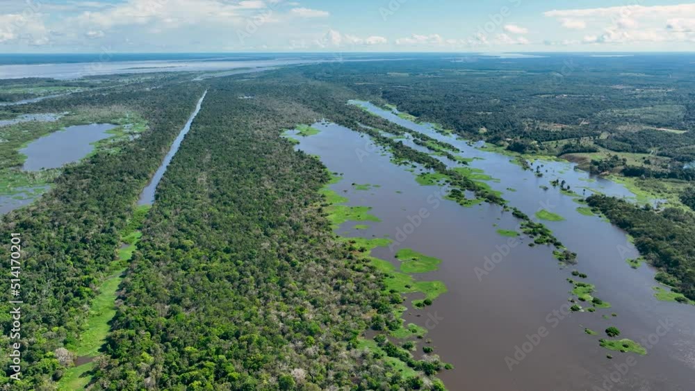 Amazon River at Amazon Forest. The famous tropical forest of world ...
