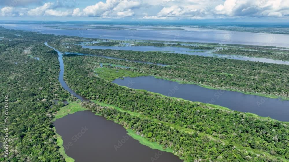 Amazon River at Amazon Forest. The famous tropical forest of world ...