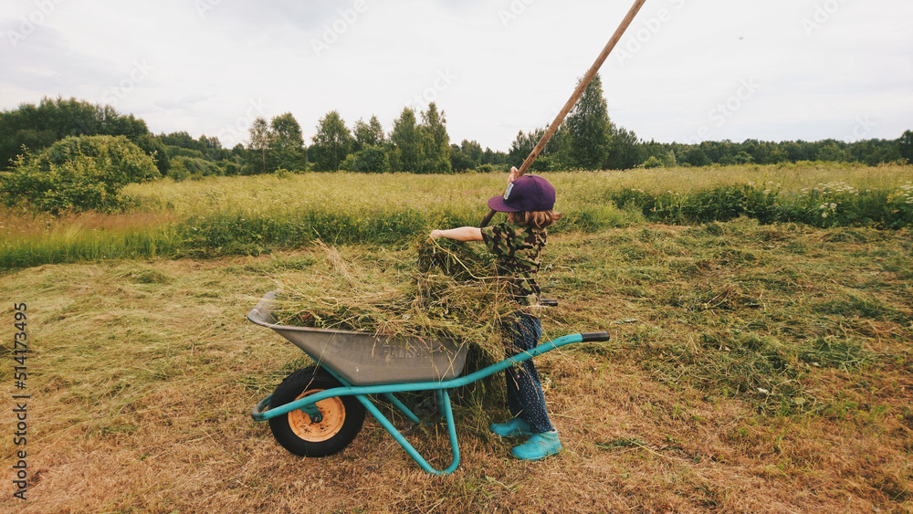 A 6 years old boy helping to make hay on the field. Summer in the farm ...