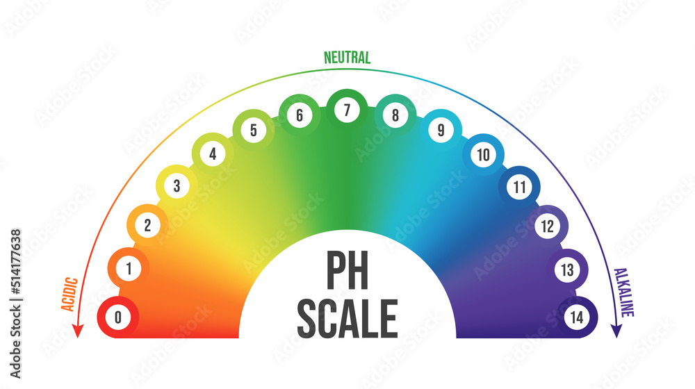 Vector illustration of pH scale isolated on white background. Color pH ...