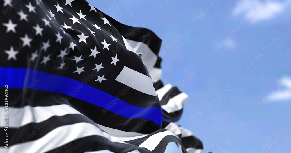 The flag of the United States of America in the Thin Blue Line variant ...