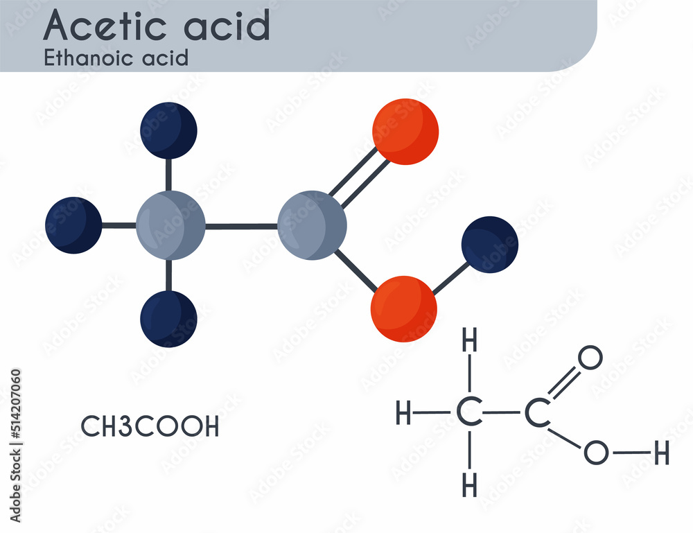 Structural chemical formula and model of acetic acid molecule, isolated ...