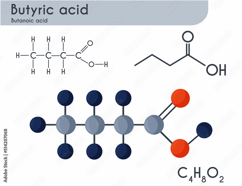 Butyric Acid Structure