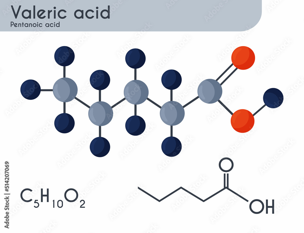 Valeric acid, pentanoic acid or valerate molecule. Structural chemical ...