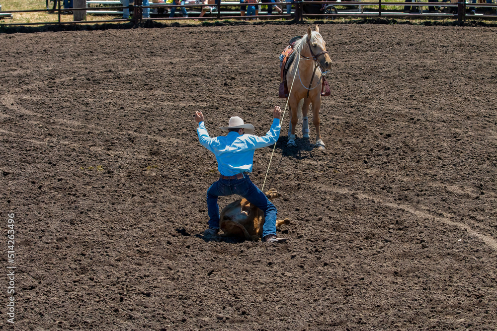 A rodeo cowboy in a white hat & blue shirt holds up his hands has ...