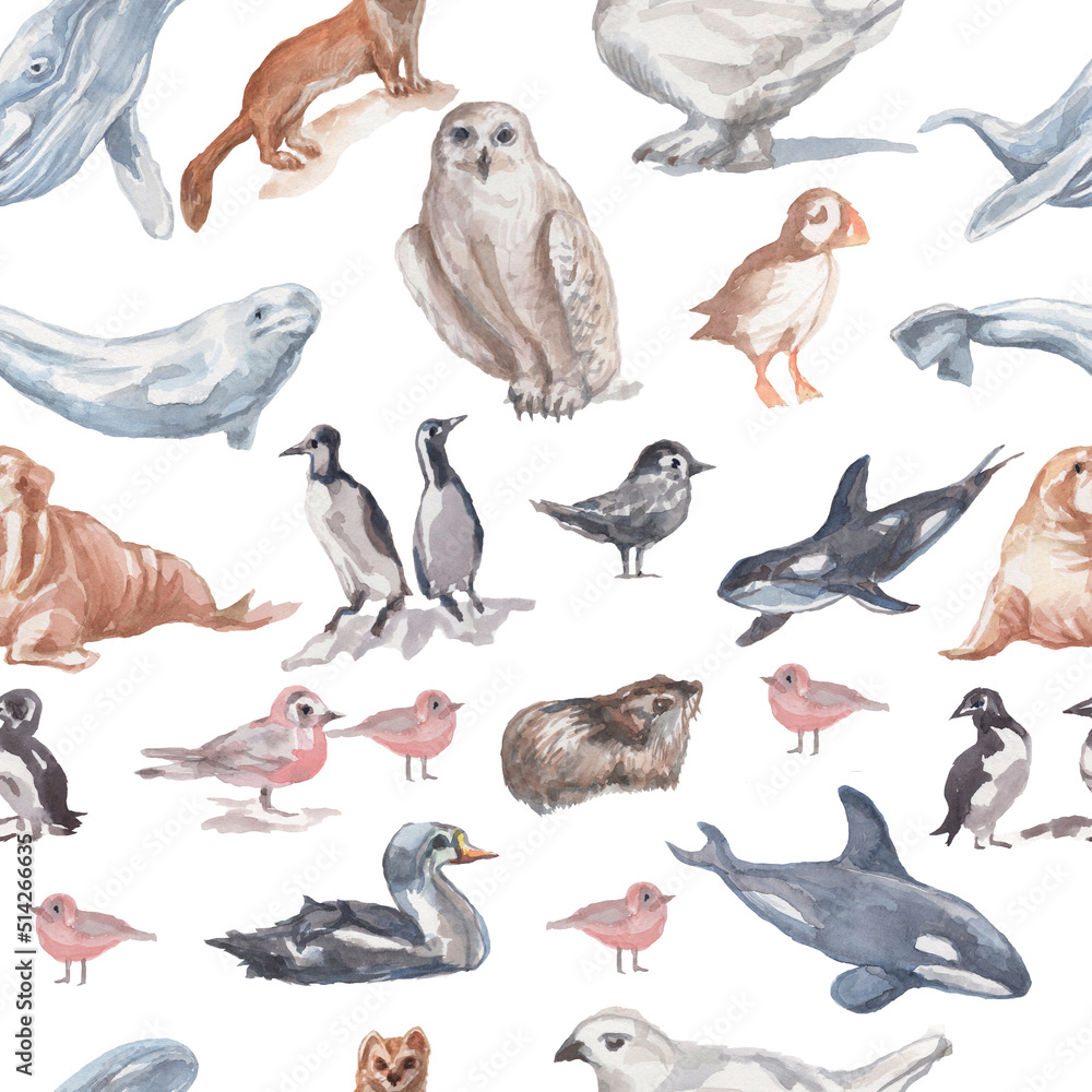 Animals Antarctica birds whales fish watercolor illustration hand drawn ...