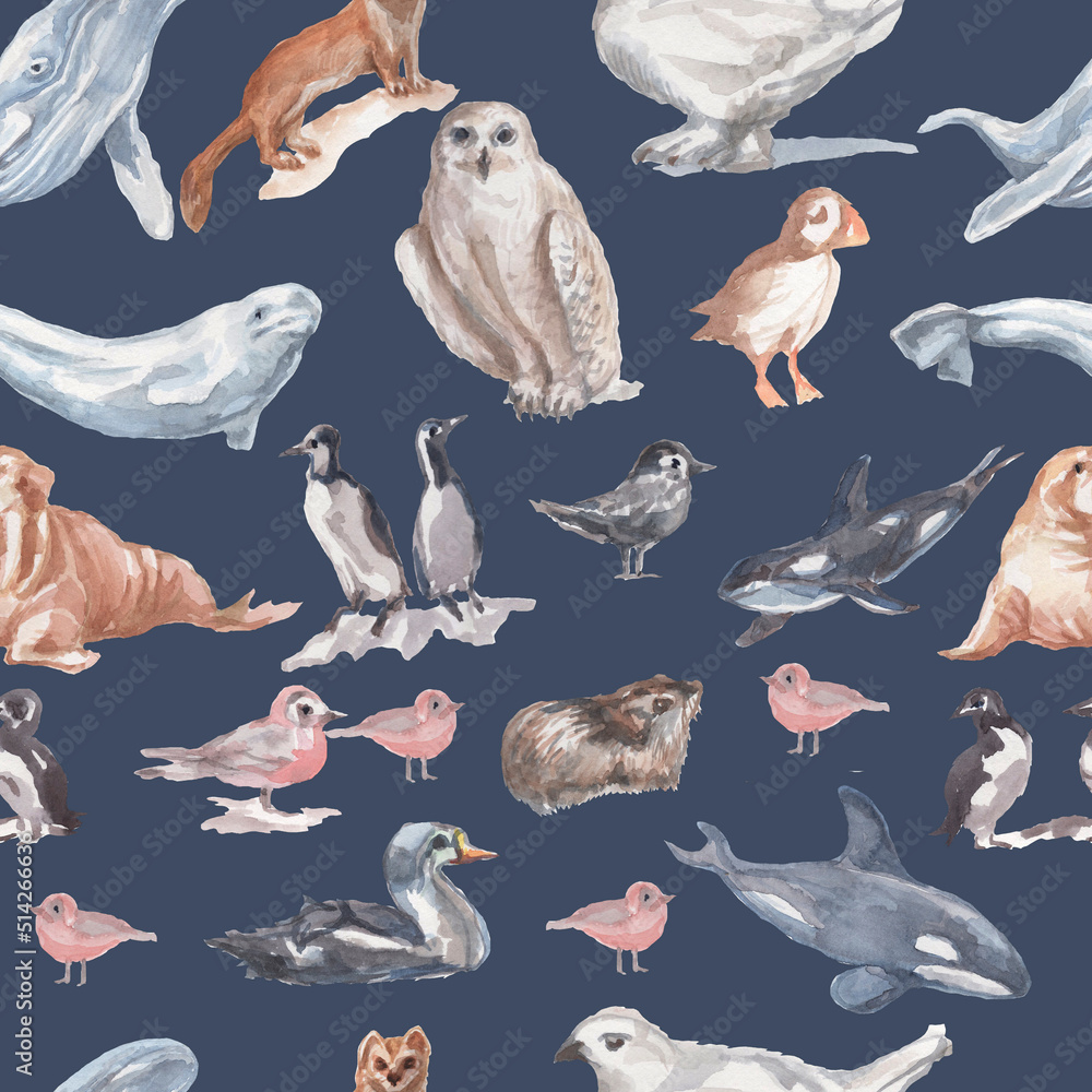 Animals Antarctica birds whales fish watercolor illustration hand drawn ...