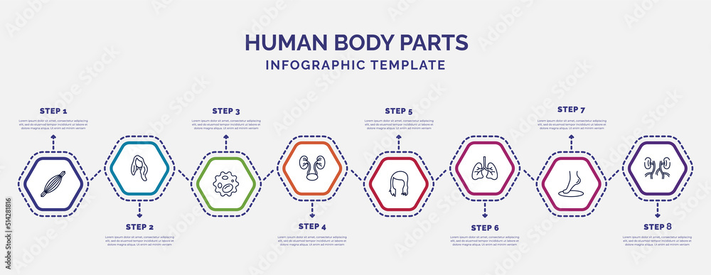 infographic template with icons and 8 options or steps. infographic for ...