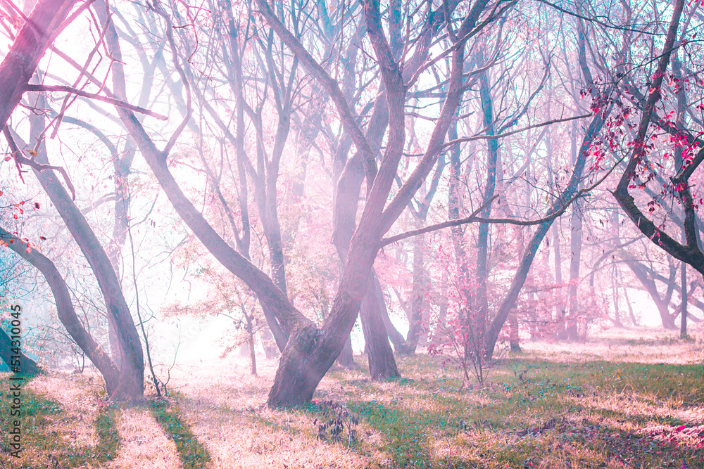 Fairytale forest with alien glow. Night street light. Mystical forest ...