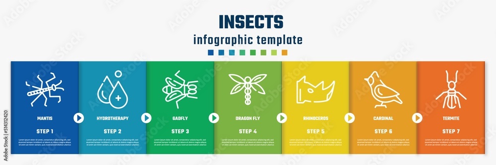 insects concept infographic design template. included mantis ...