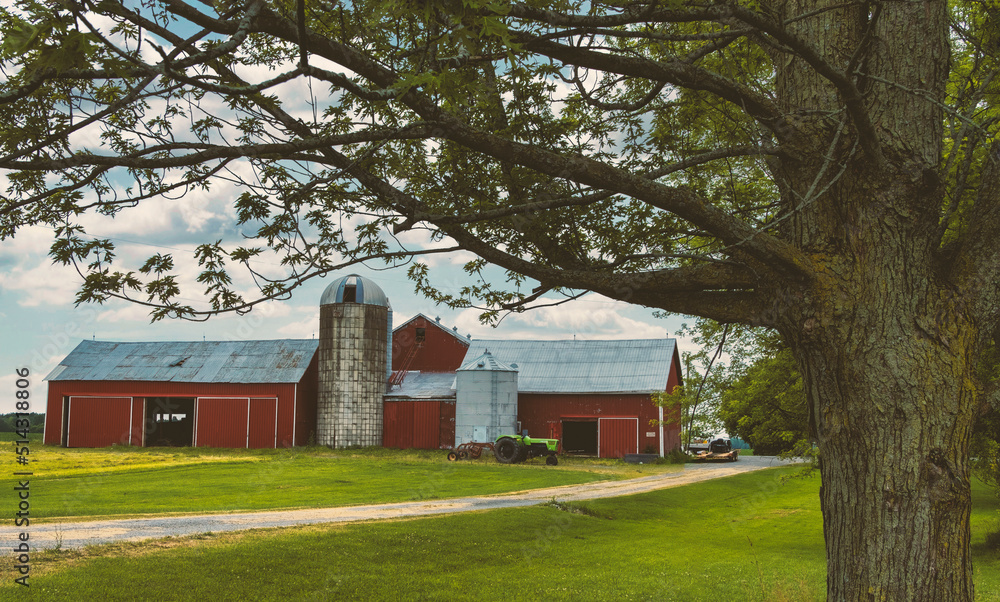 Stunning photos of forest and a lake scenic nature landscapes from ...