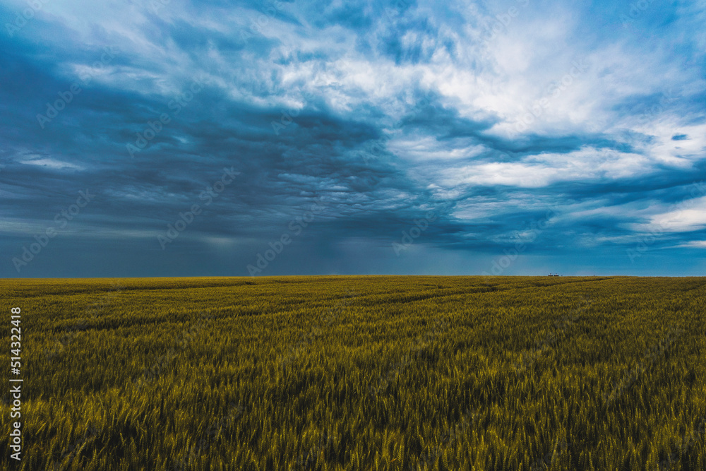 Stunning photos of forest and a lake scenic nature landscapes from ...