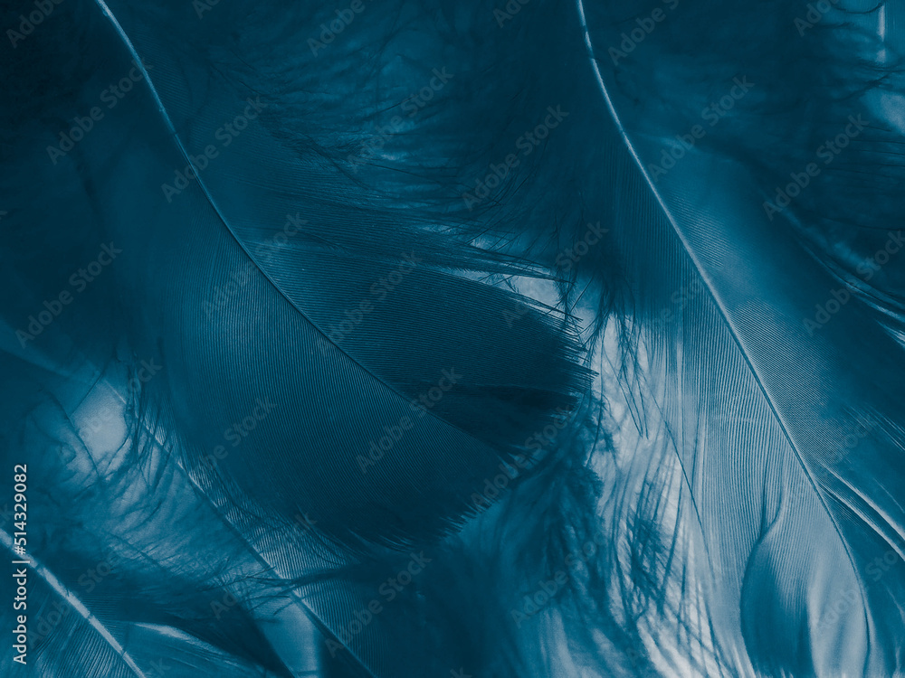 Beautiful abstract blue feathers on white background, white feather ...