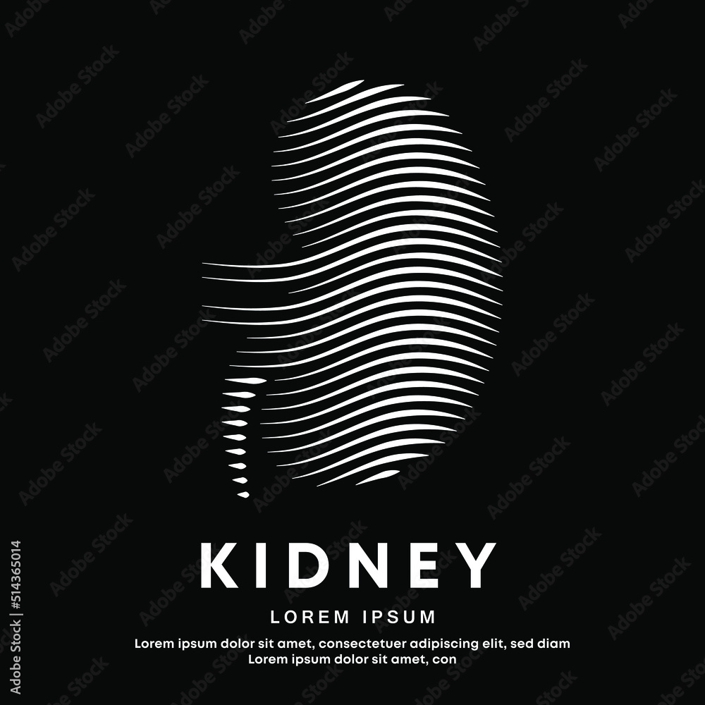 Human kidney medical structure. simple line art kidney logo design ...