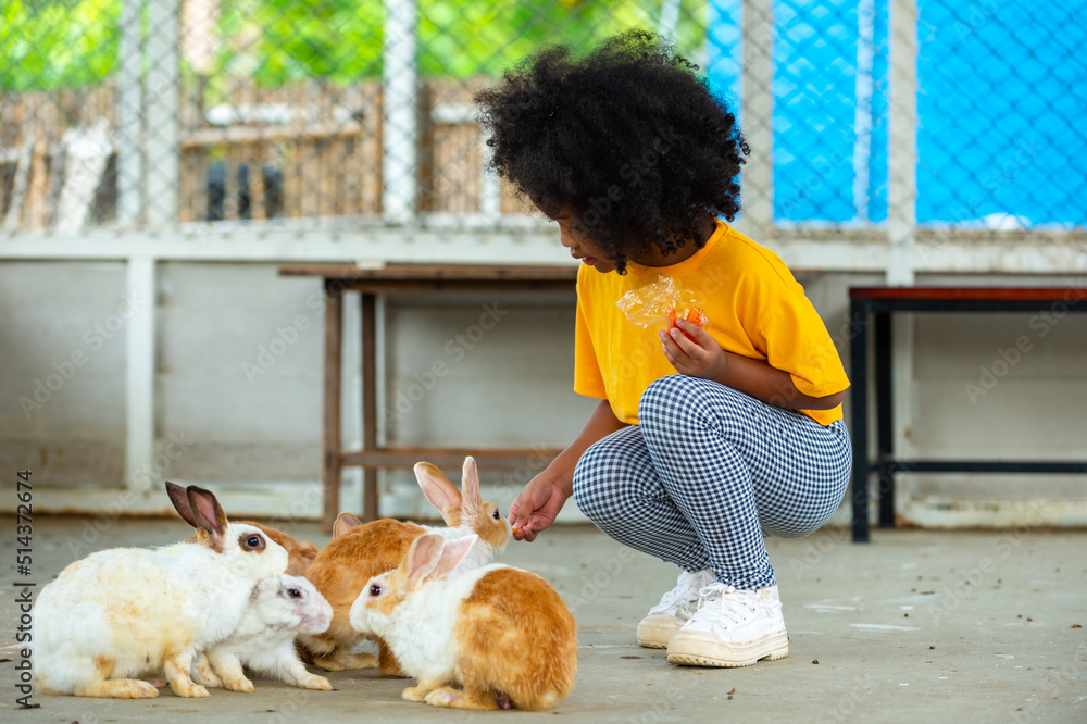 Girl Feeding Rabbit