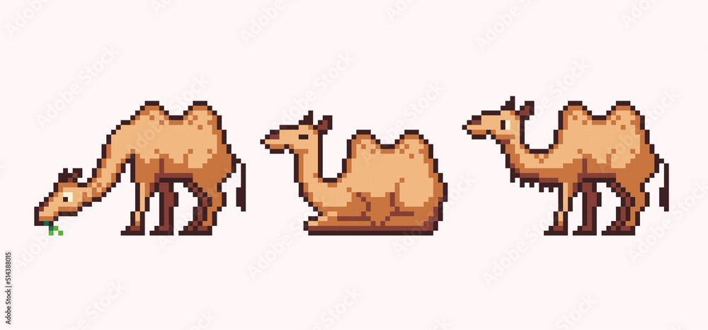 Camels sitting, standing, sleeping poses pixel art set. Desert caravan ...