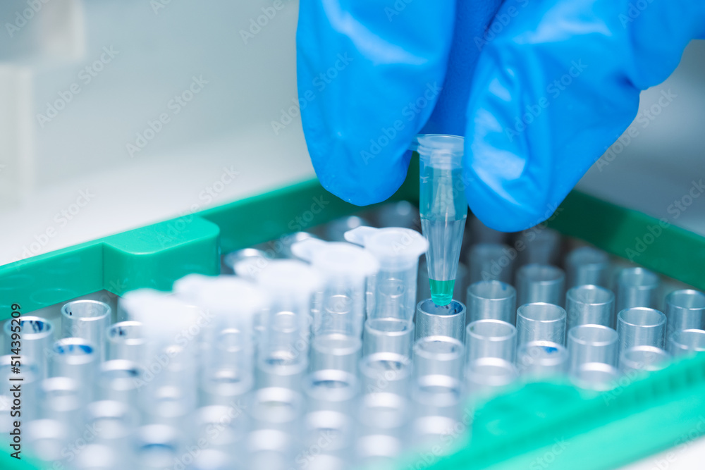 Real-time PCR for identification of pathogen, bacteria, virus including ...