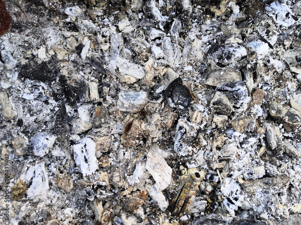 Ash texture, blurred background. Smoldering coal. Wood ash in the ...