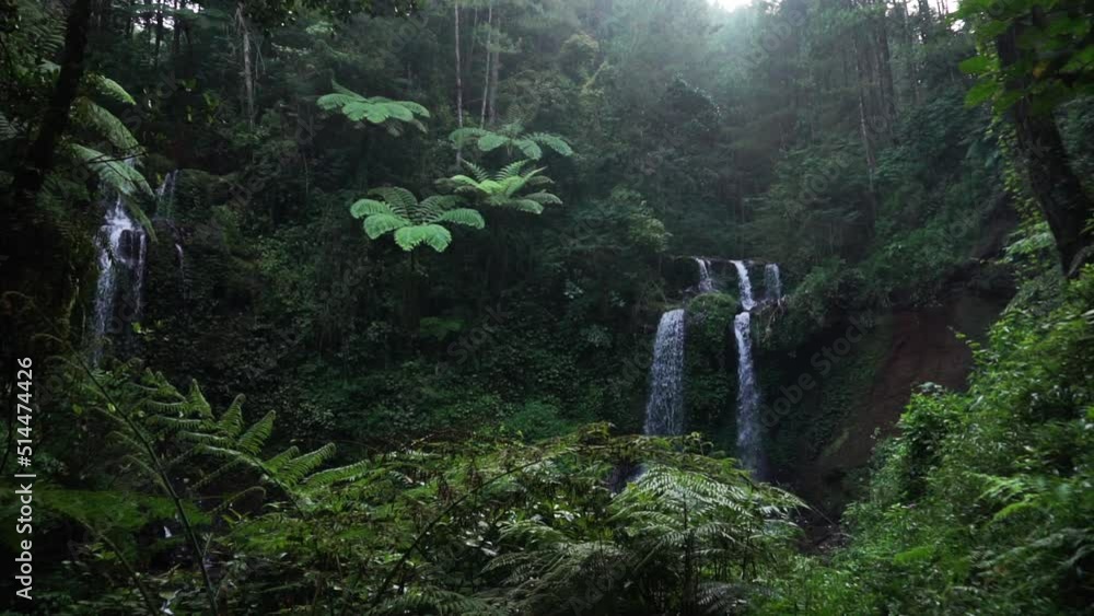 Wide shot of falling waterfall surrounded by deep flora and fauna ...