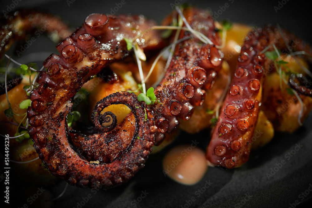 Pulpo Stock Photo | Adobe Stock