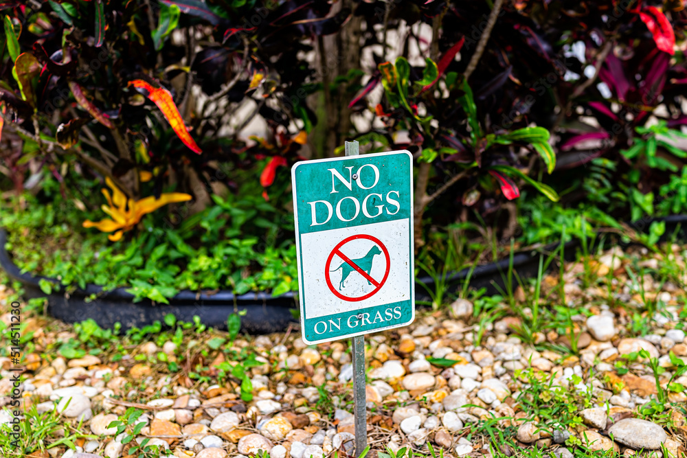 No dogs sign on grass with picture in garden park of residential ...