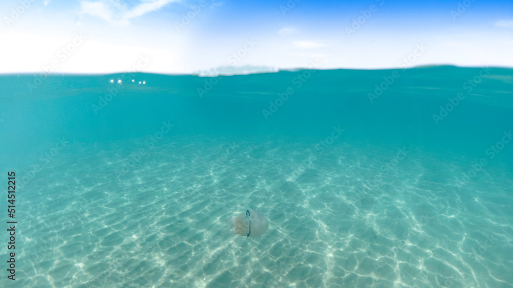 underwater blue ocean wide background with sandy sea bottom, Real ...