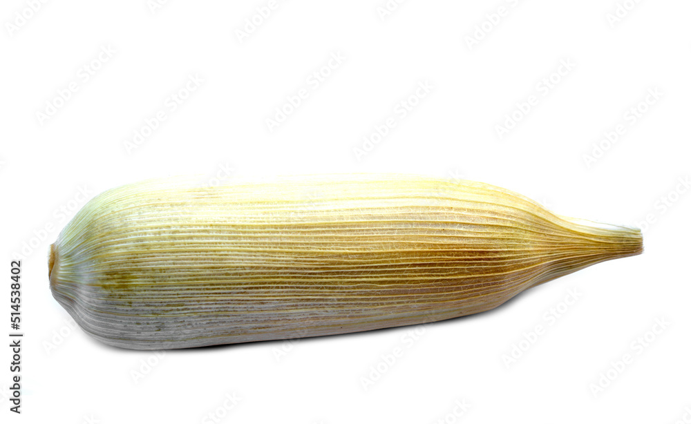 Unpeeled Streamed corn isolated on white background. Thai native corn ...