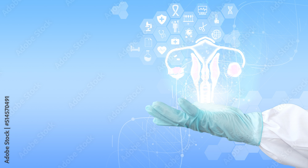 Hologram of the female uterine organ. gynecology, obstetrics, pregnancy ...
