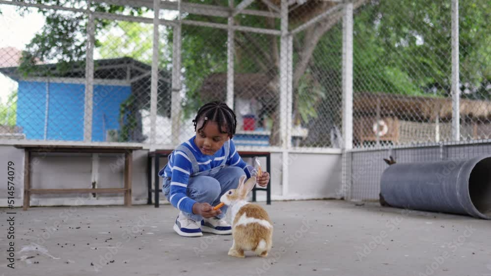 Vidéo Stock Little African child boy feeding carrot to the rabbit ...