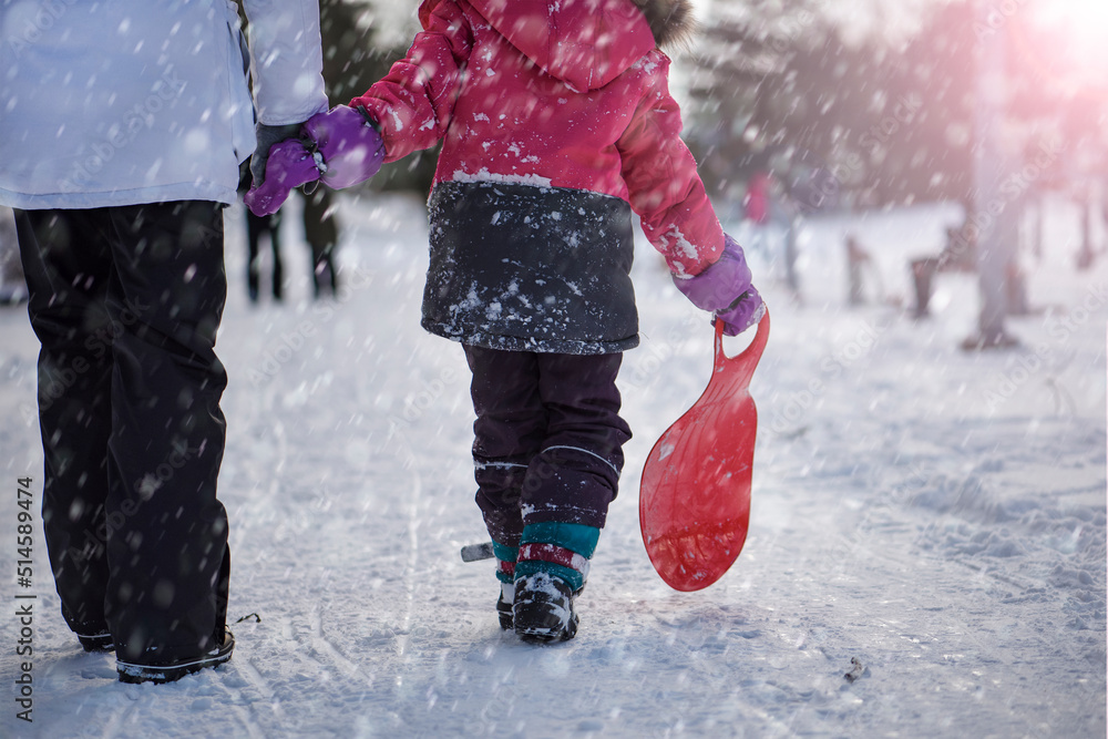 The girl is holding a red sled in her hands to ride the hill. Sledging ...