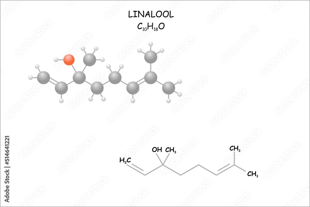 Stylized molecule model/structural formula of linalool Stock Vector | Adobe Stock