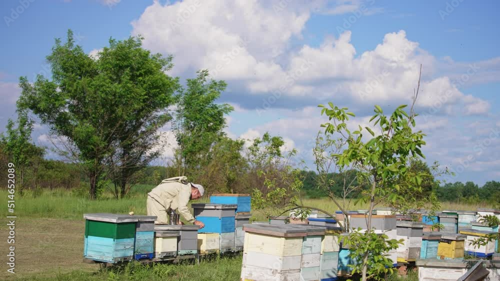 Beekeeper in special uniform working at rural bee farm. Sunny windy day ...