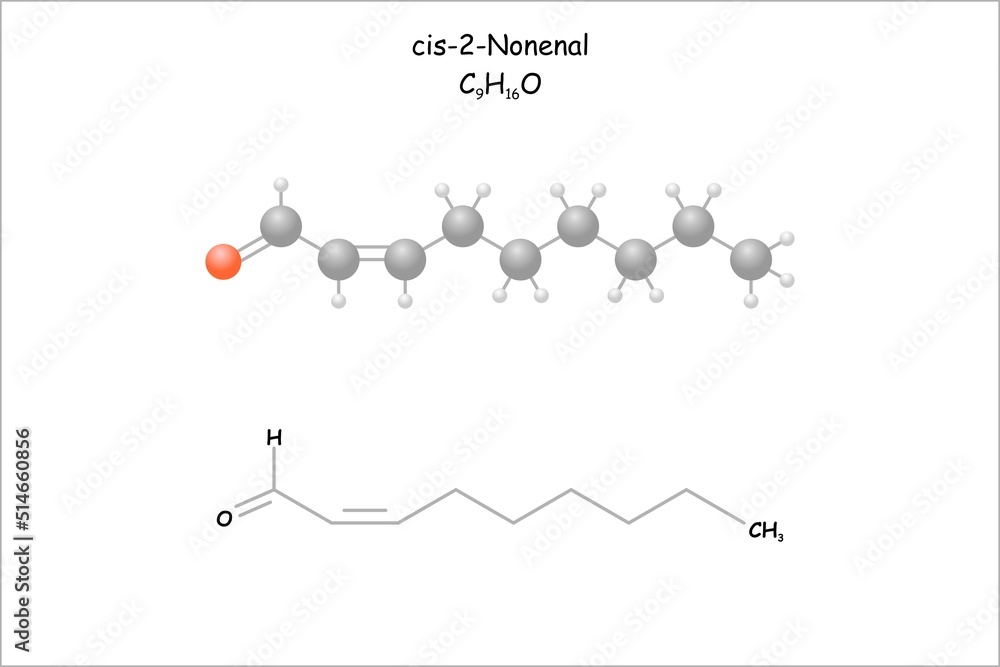Stylized molecule model/structural formula od cis-2-nonenal. Componant ...